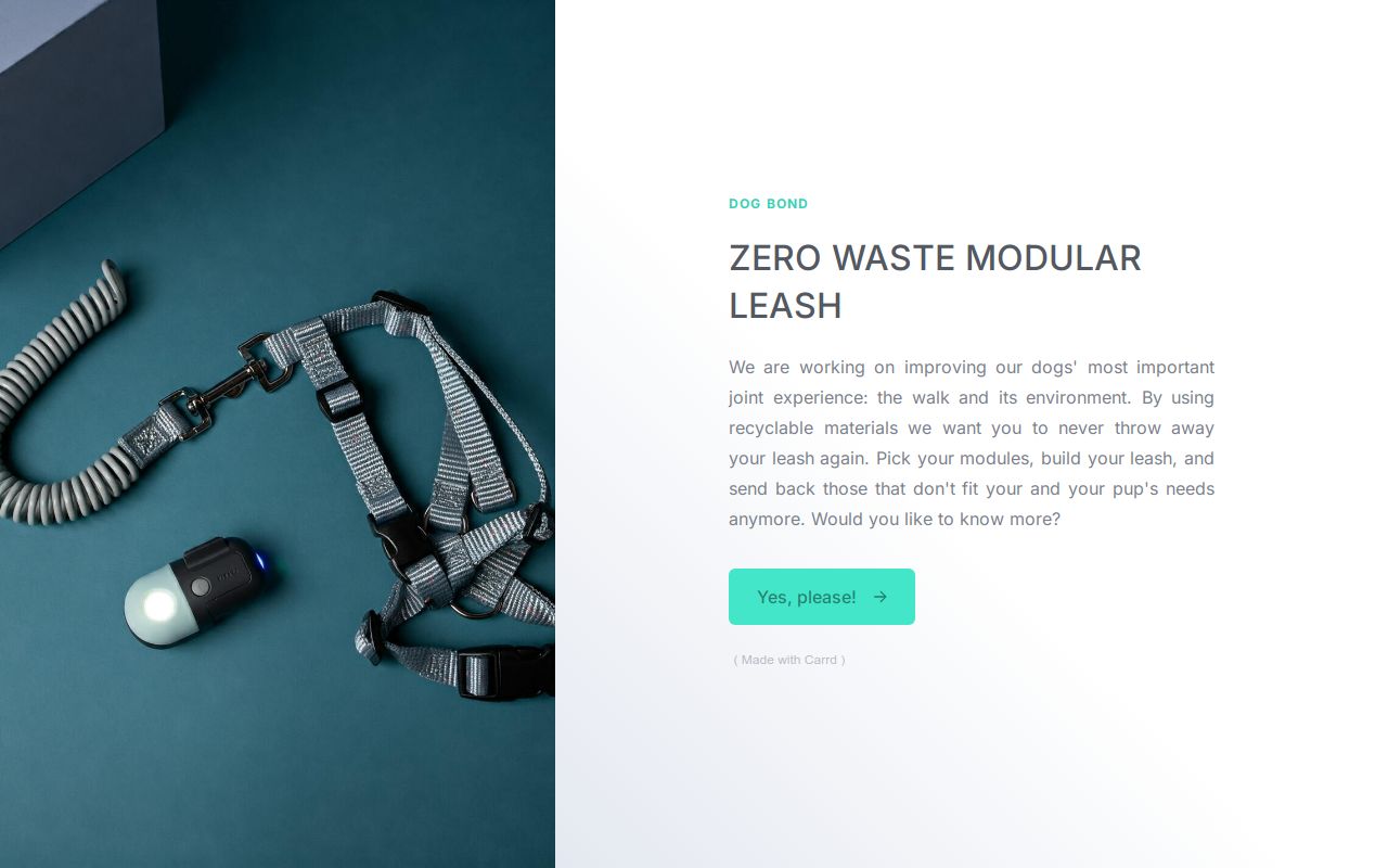 Zero Waste Modular Leash